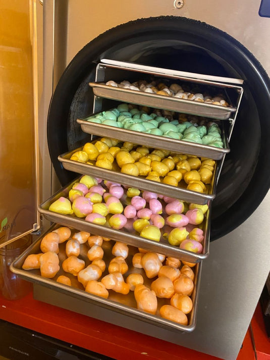 Collections – Chill Factor Freeze Dried Foods